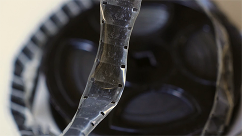 Microfilm vs Microfiche: Conversion Services and Differences